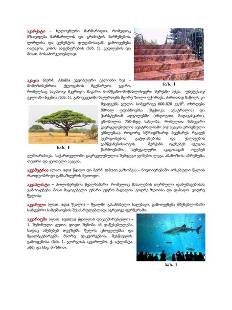 სამშენებლო ენციკლოპედიური ლექსიკონი ტომი I ა გ ნაწილი Ii Pdf