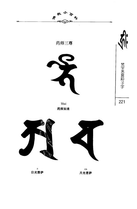 佛教小百科 第一辑 21 简易学梵字进阶篇 中国社会科学出版社 密海宝藏 第224页 大咒仙网站 佛法密咒真言陀罗尼实修网 大呪仙网站
