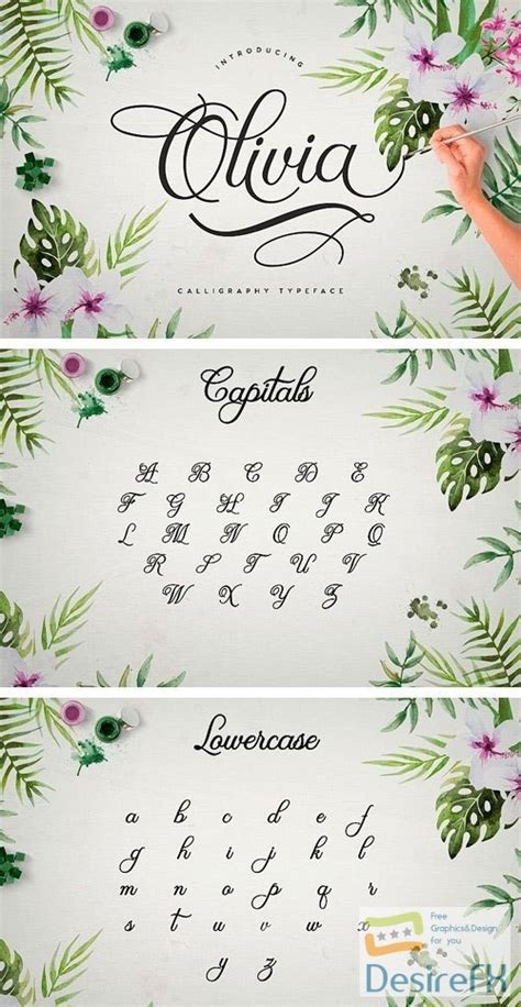 Download Olivia Script Font Download DesireFX COM