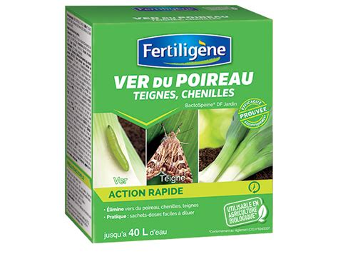 Comment Traiter Le Ver Du Poireau Naturellement Housekeeping