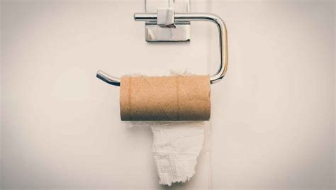 How Long Should A Roll Of Toilet Paper Last We Measured