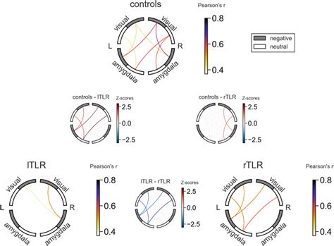 Significant Positive Correlations Pearsons R Between Mean Contrast