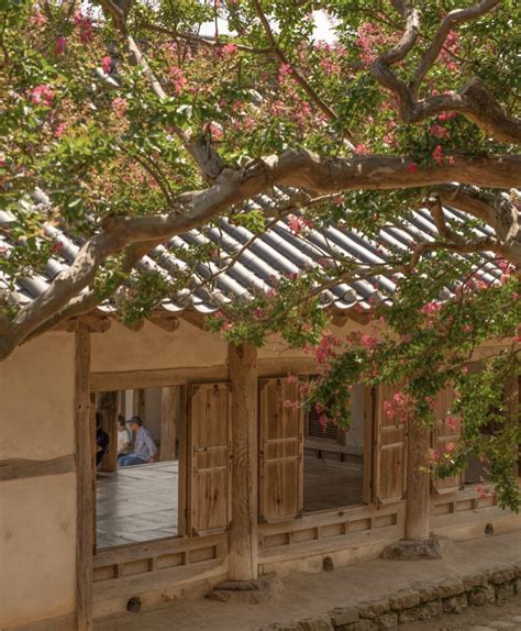 월간한옥magazine Hanok On Twitter 한옥에 비추는 햇살이 유난히 따듯하게 느껴집니다 부드러운 나무의 질감 고운 흙의 촉감 자연의 포근함을 간직한