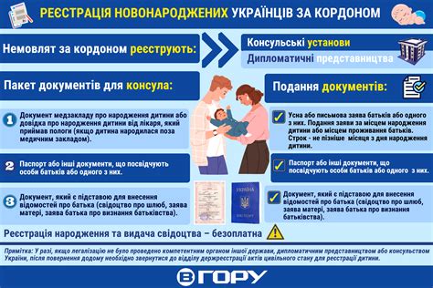 Реєстрація новонароджених українців за кордоном Інфографіка