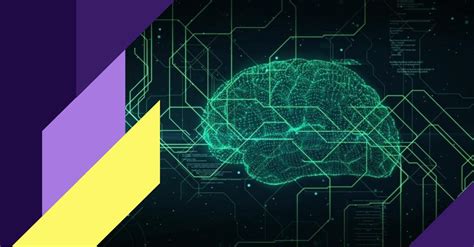 Streamlining Lab Workflows With Automated Sample Processing Ardigen