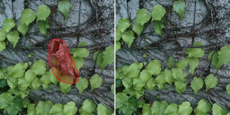 Diminished Reality Making Objects Disappear In Real Time In Live