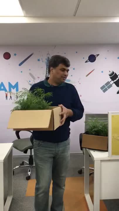 Ravi Shankar Rai On Linkedin The Energy Of Plants Always Fascinates Me And I Get Positive Vibes