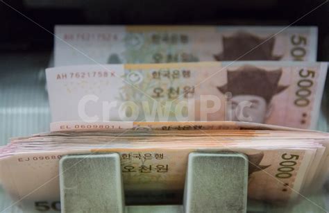 계수기 돈 화폐 현금 오천원 사진 이미지 일러스트 캘리그라피 Sinsy작가