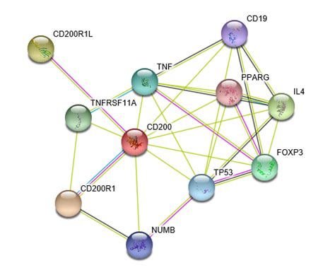 Cd200 General Information Sino Biological