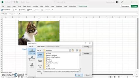 How To Attach A Hyperlink To An Image In Microsoft Excel Hyperlink To