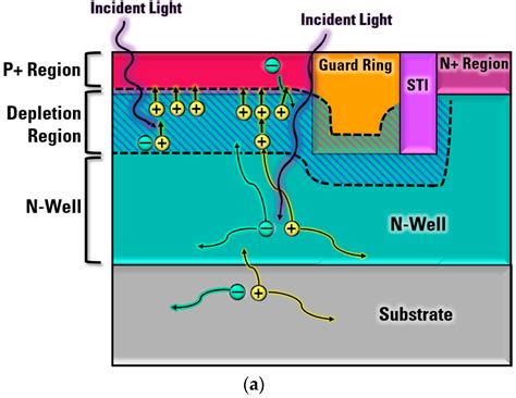 Sensors Free Full Text Modeling For Single Photon Avalanche Diodes State Of The Art And