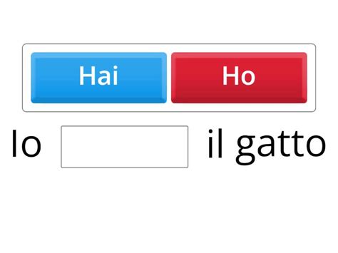 Verbo Avere Complete The Sentence