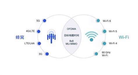 Wifi 6 Vs Wifi 7 Speed Frequency Comparison What To Expect