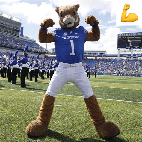 Kentucky Wildcats Mascot