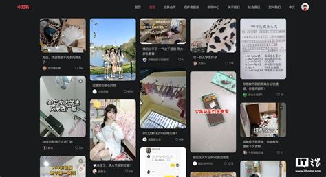 小红书网页版上线 财经头条
