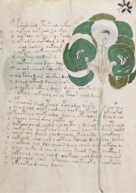 Fragment Of A Scanned Image Of The Manuscript Download Scientific Diagram