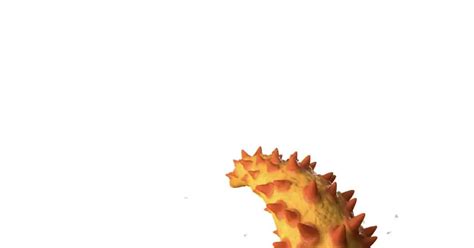 Alor Liquid Caps 400 Ibuprofen Zur Linderung Von Schmerzen