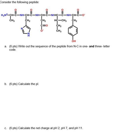 Solved Consider The Following Peptide Chegg