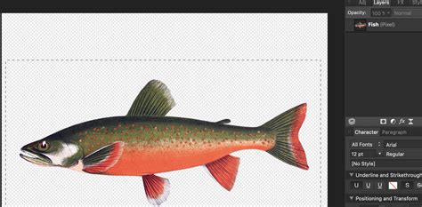 Cant Copy And Paste Pixel Layer Pre V2 Archive Of Affinity On Desktop Questions Macos And