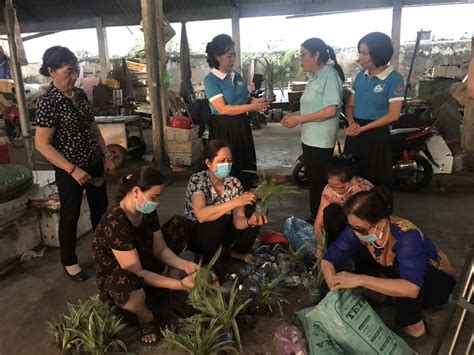 Chung Tay H I Ph Ng L Th Nh Ph Ti N Phong Gi M R C Th I Nh A V B O V Ngu N N C S Ch