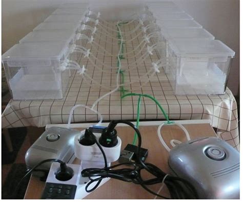 瑞典plantform植物培养反应器报价价格性能参数图 瑞典 Plantform生物器材网