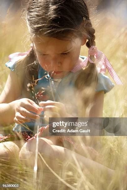 Knot Grass Photos And Premium High Res Pictures Getty Images
