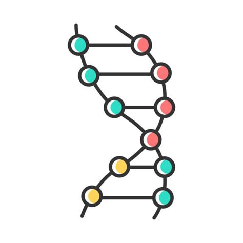 Nucleotide Drawings Illustrations Royalty Free Vector Graphics And Clip