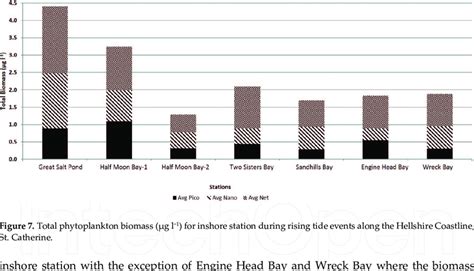 Total phytoplankton biomass μg l for nearshore surface stations Download Scientific