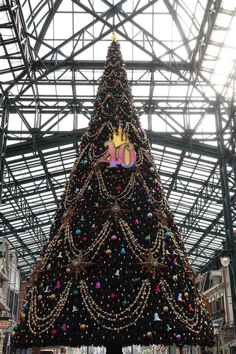 東京ディズニーランドクリスマスがいよいよ開幕へ 巨大ツリー装飾は40周年仕様に ENCOUNT