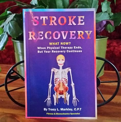 Stroke Recovery What Now Book