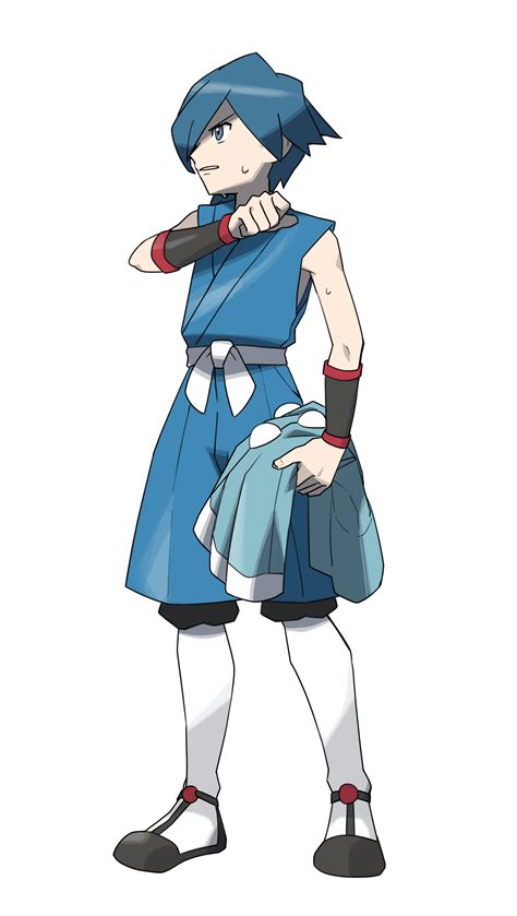 Falkner Pokemon And 1 More Drawn By Himurohiromu Danbooru