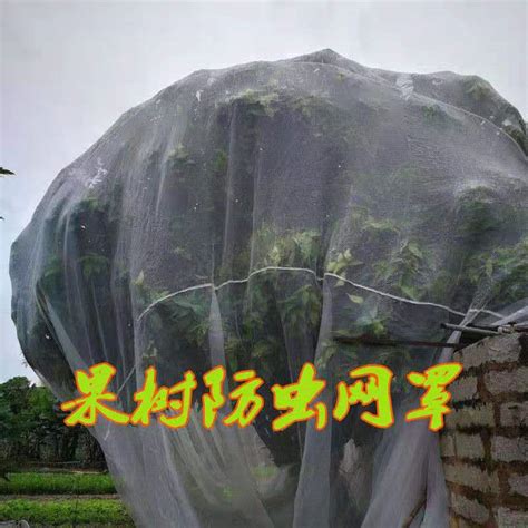果树防虫网大棚樱桃杨梅网罩防虫防鸟多肉莲雾桃树蔬菜蓝莓网家用 虎窝淘