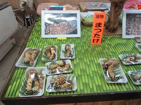 山口市阿東町 秋の味覚の王様松茸 in あとうふるーつしょっぷ 山口県長門市今が旬
