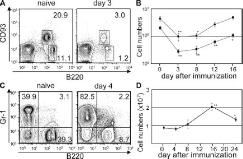 Figure 1 From Controlling RNA Self Assembly To Form Filaments Semantic Scholar