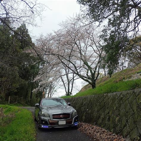 Cartune
