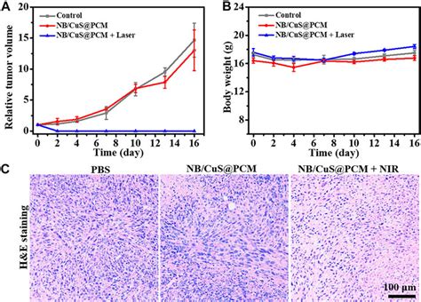 Frontiers An Nir Ii Responsive Nanoplatform For Cancer Photothermal And Oxidative Stress Therapy