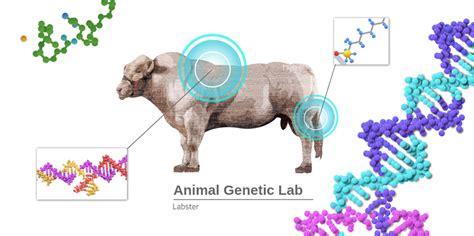 Facts About Animal Dna At Evan Olsen Blog