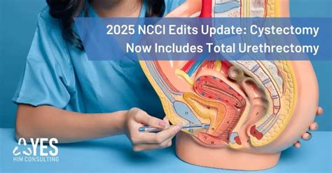 2025 Ncci Guidelines Issue Update For Bladder Procedures