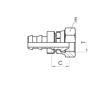 Bspp Female With 60° Conical Bore