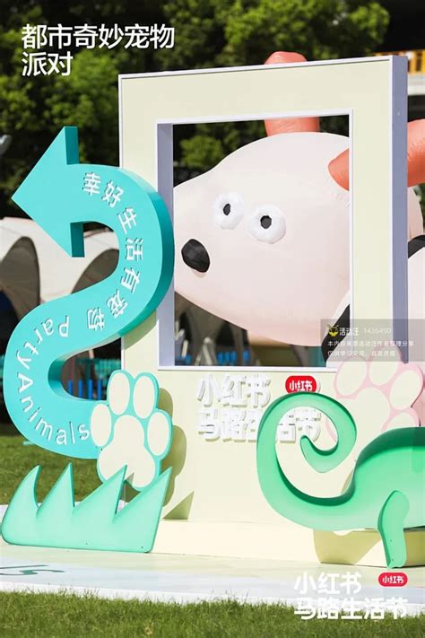 小红书马路生活节·都市奇妙宠物派对