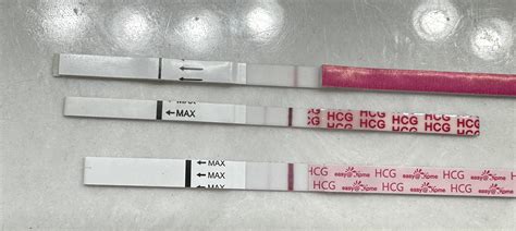 Cd 15 Testing Out Trigger Shot Testing To Show The Difference Between First Response Top