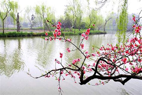 中国最美丽的地方：祖国大好山河风景2风景中国古风图片大全古风家