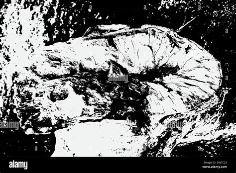 Black And White Artistic And Natural Texture Eps Vector Stock Stock