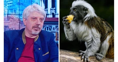 Култово! Проф. Витанов хранел маймунка в Япония с хапки в сладко кисел сос