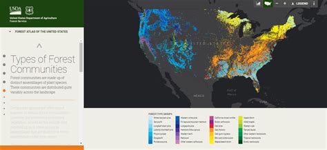 Forest Management With GIS GeoMarvel