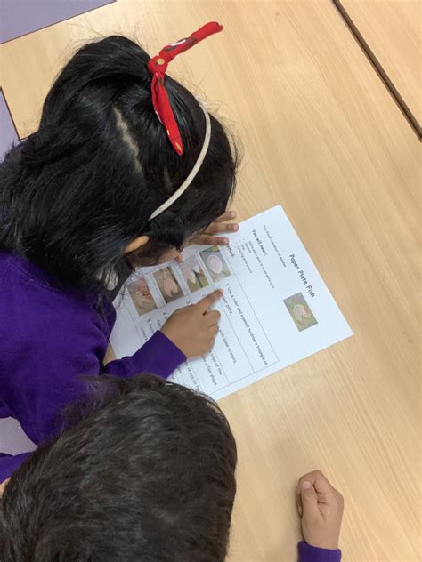 Boundary Primary School Year 1 Instructions