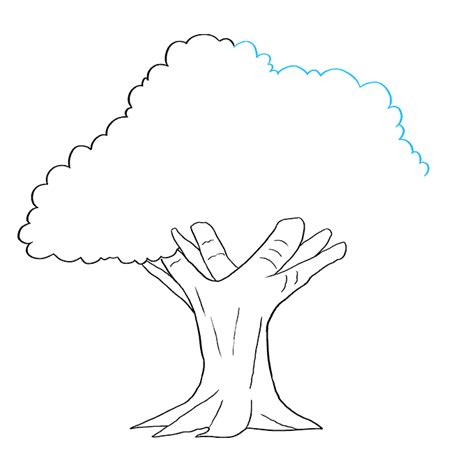 How To Draw An Oak Tree Really Easy Drawing Tutorial Artofit