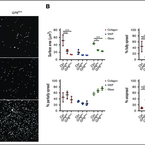 Platelet Spreading On Collagen Vwf And Glass A Human Platelets 2 Download Scientific
