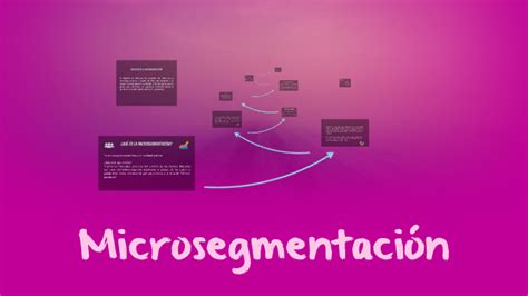Microsegmentación By Paola López On Prezi