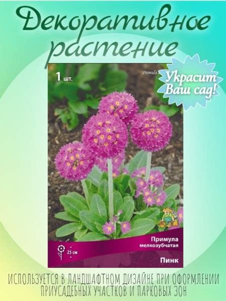 Примулы Поиск Цветущие растения///9034ПОРТ20 - купить по выгодным ценам ...